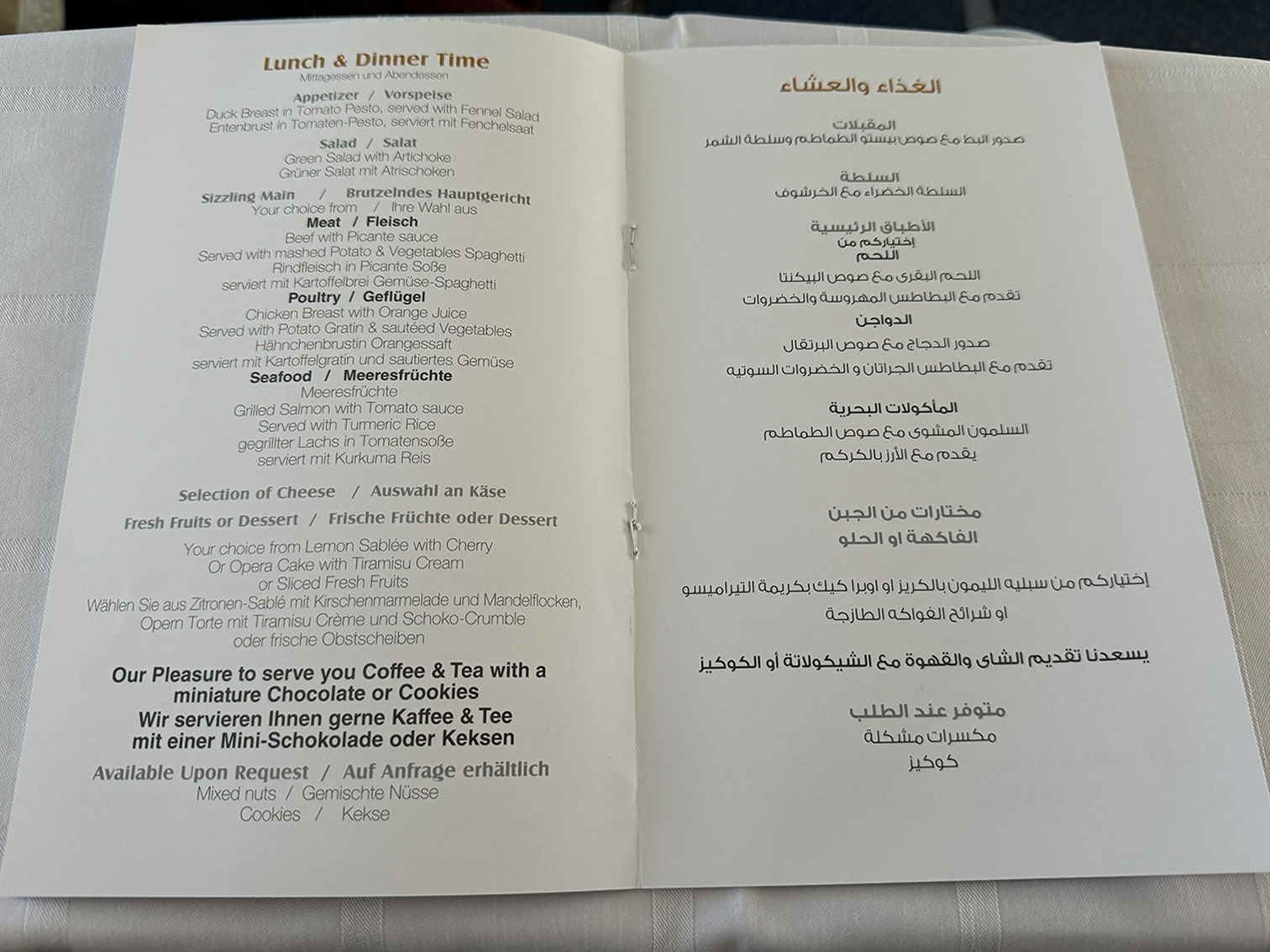 EgyptAir 737 Business Class Review (BER-CAI) | PointsFeed